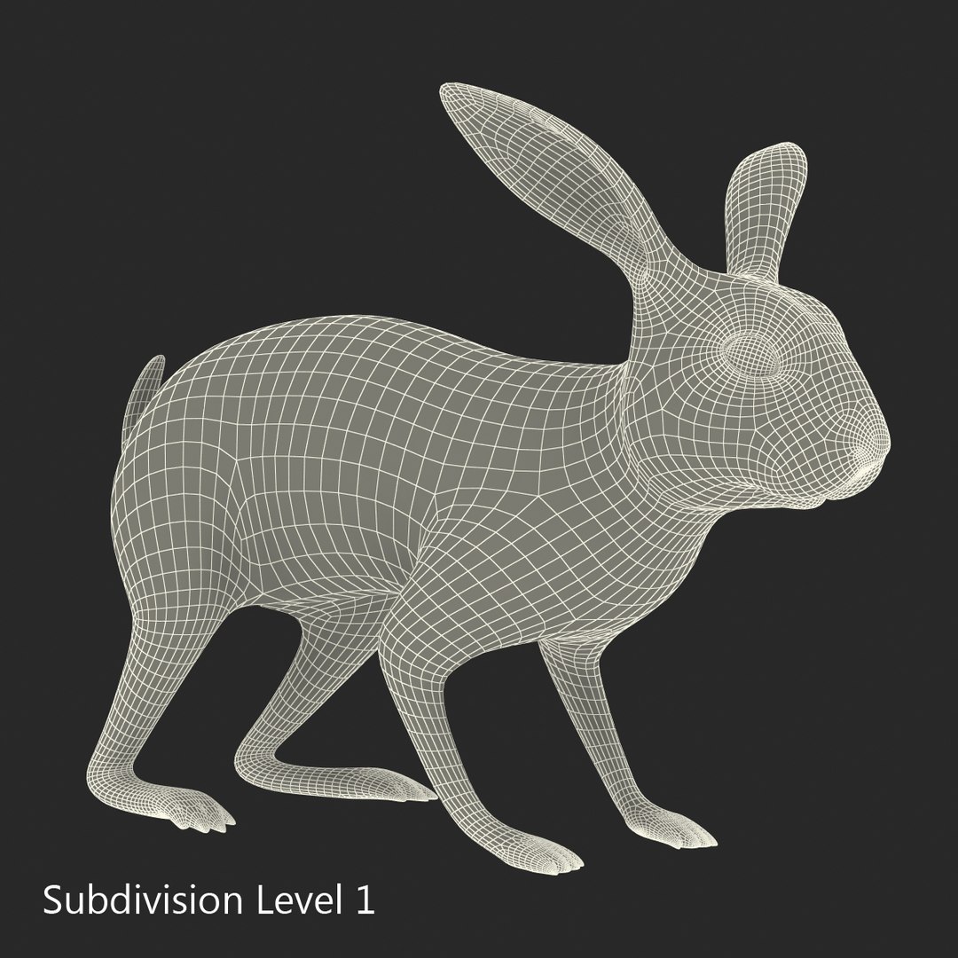 3d black rabbit rigged model