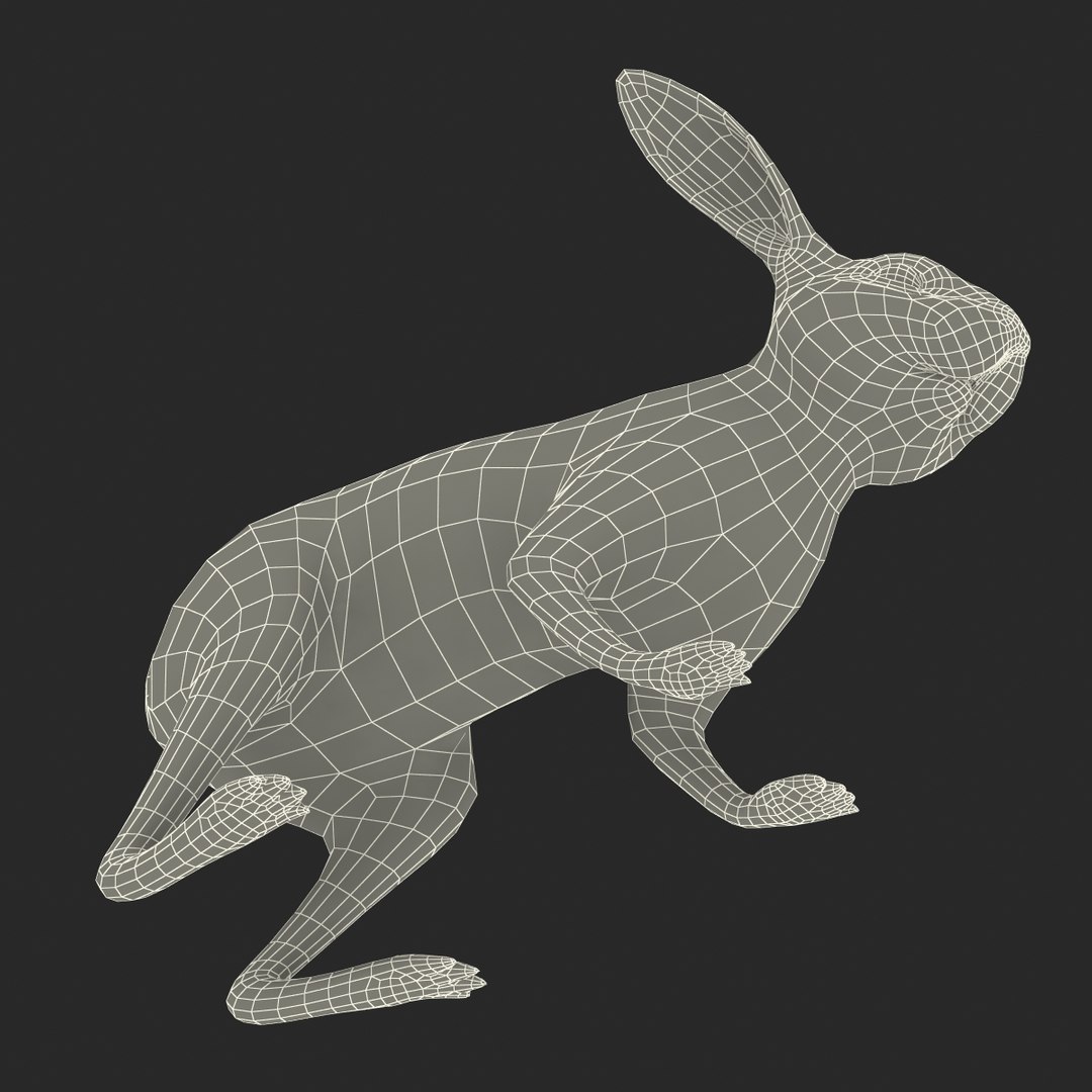 3d black rabbit rigged model