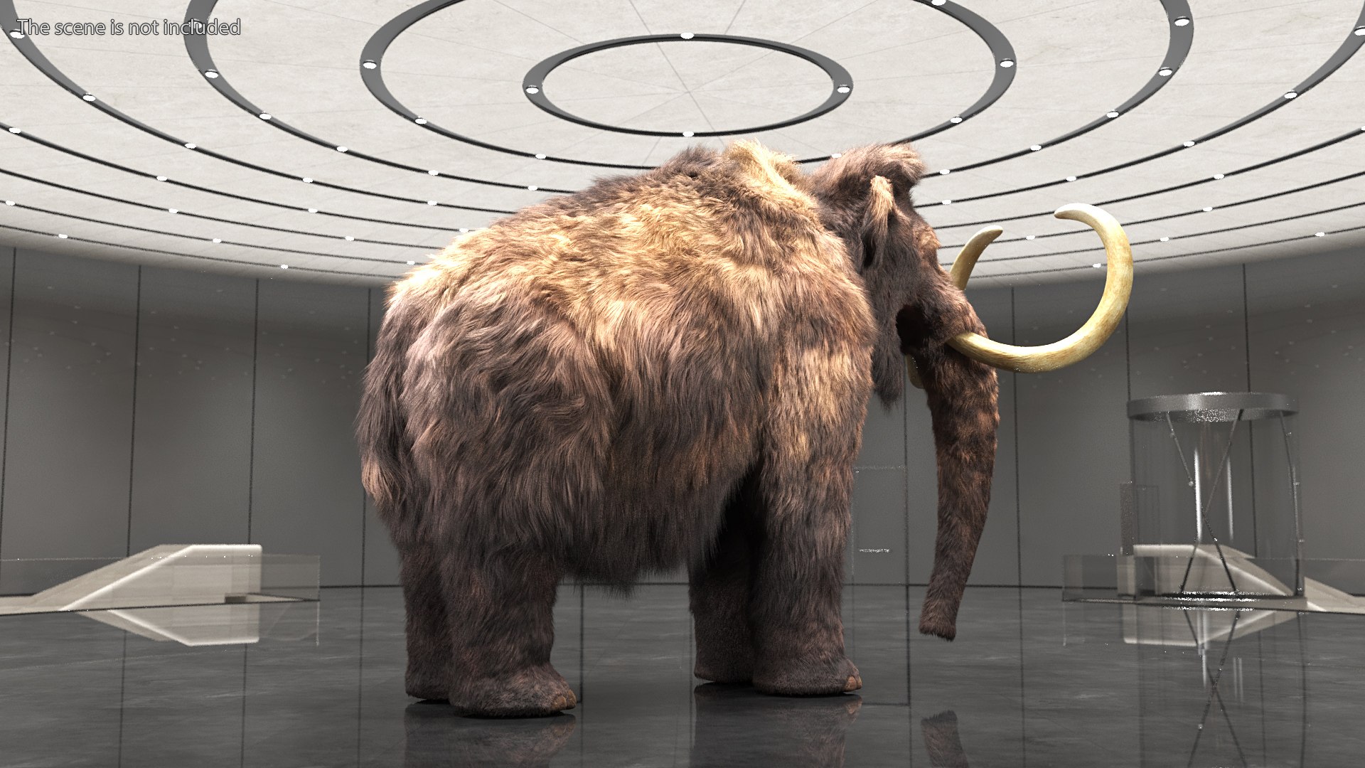 Mammoth Adult Fur Rigged 3D model - TurboSquid 1807072