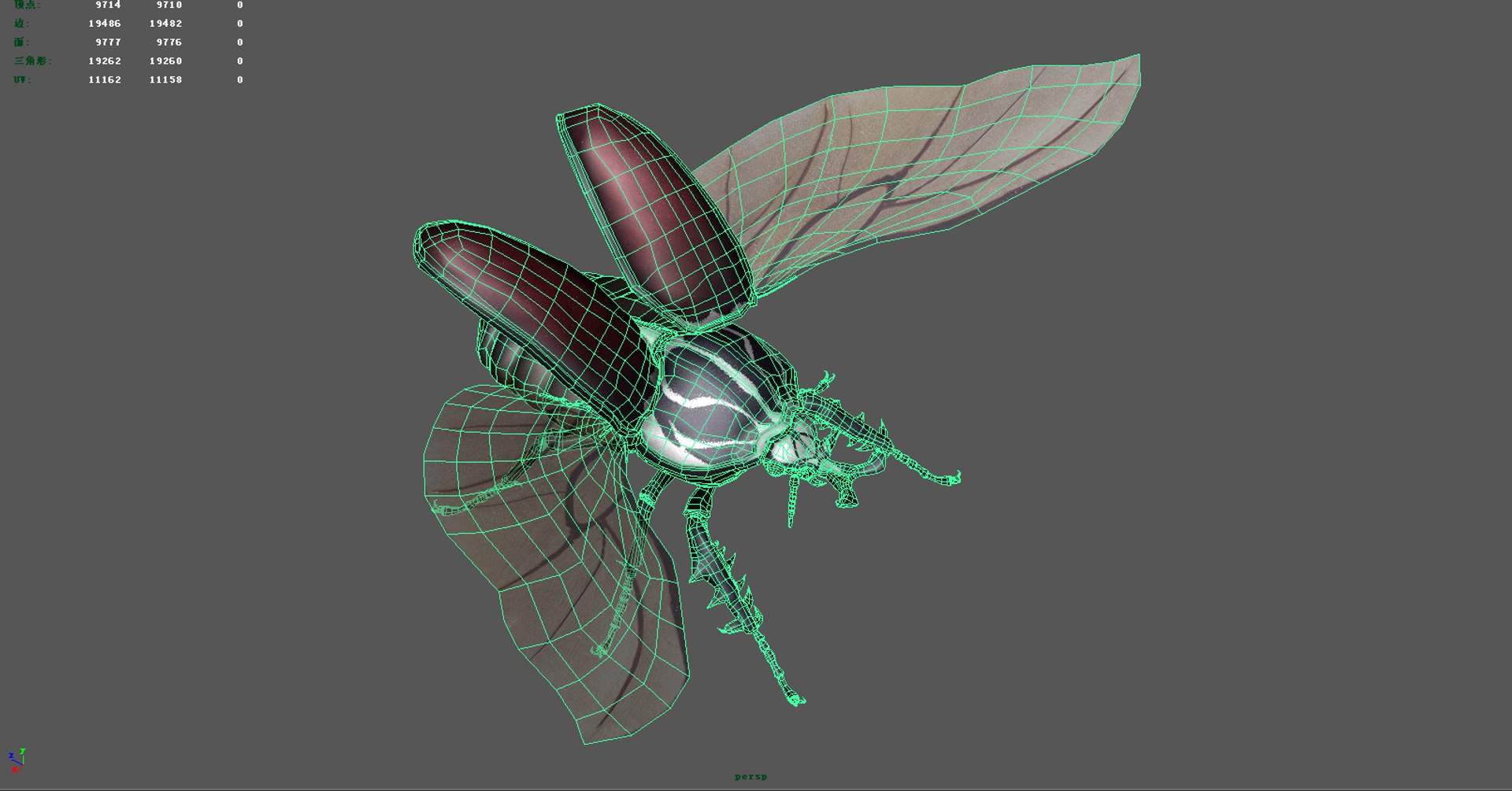 Giant Beetles Insects 3D Model - TurboSquid 1318622