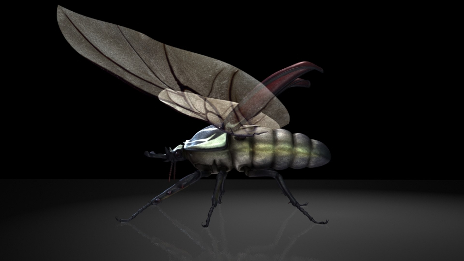 Giant Beetles Insects 3D Model - TurboSquid 1318622