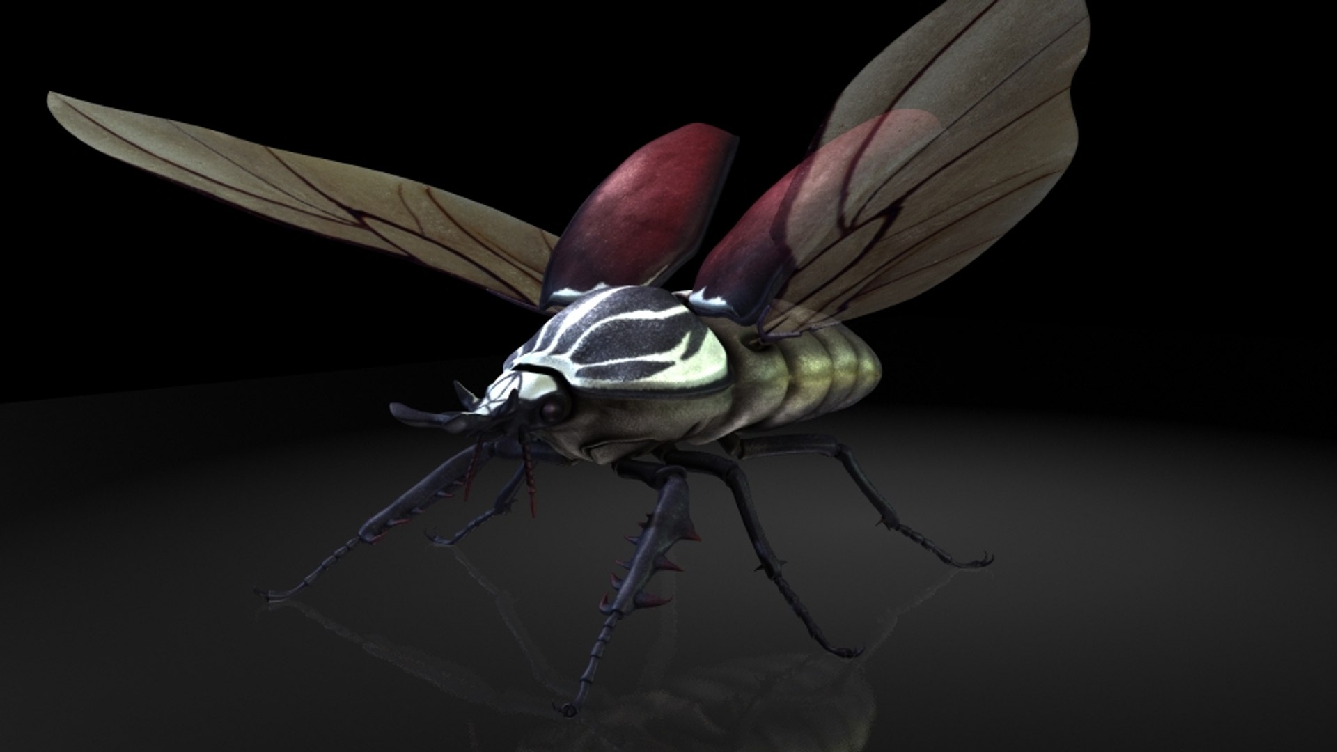 Giant Beetles Insects 3D Model - TurboSquid 1318622