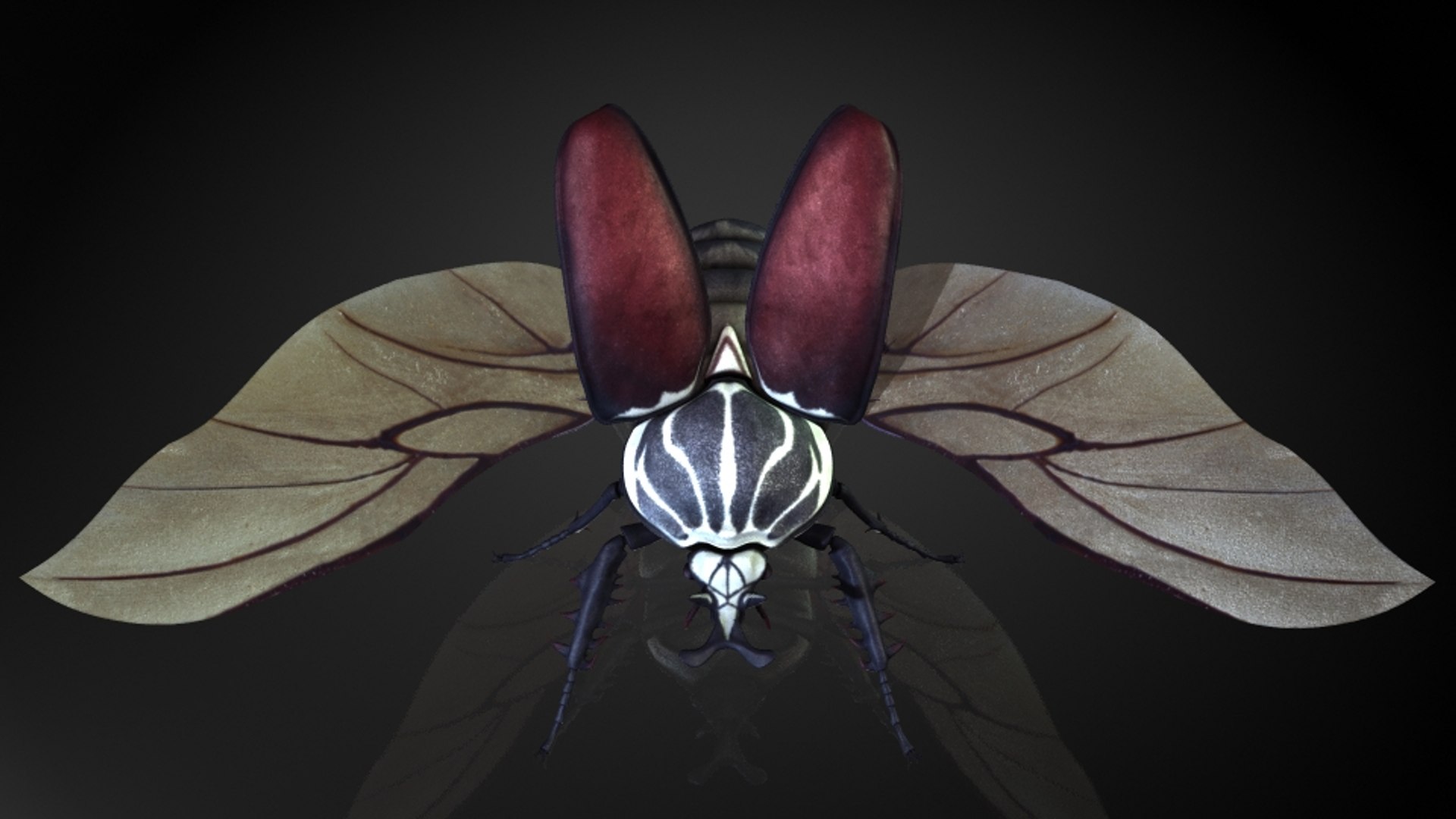 Giant Beetles Insects 3D Model - TurboSquid 1318622