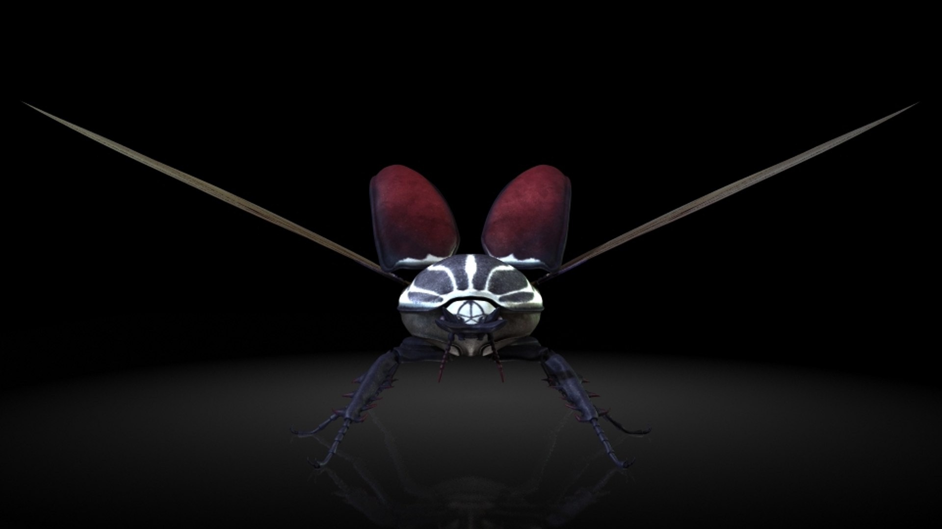 Giant Beetles Insects 3D Model - TurboSquid 1318622