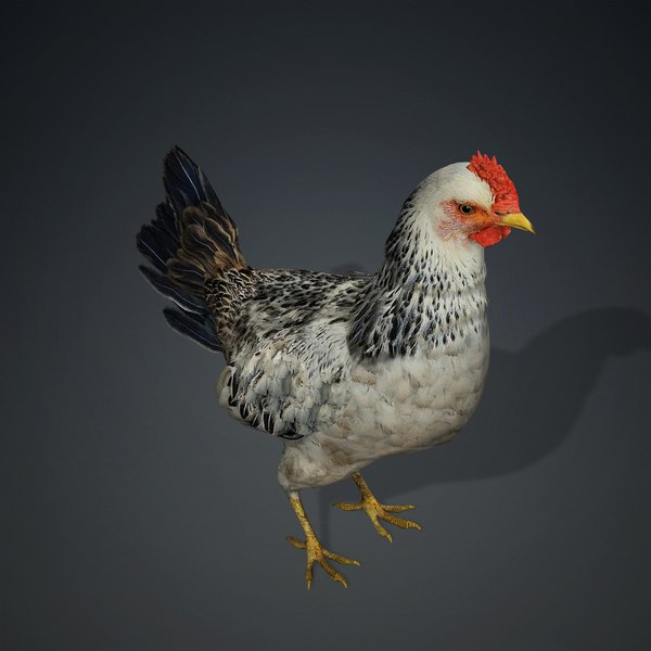 modelo 3d Chickens 3D MODELS PACK - TurboSquid 2108679