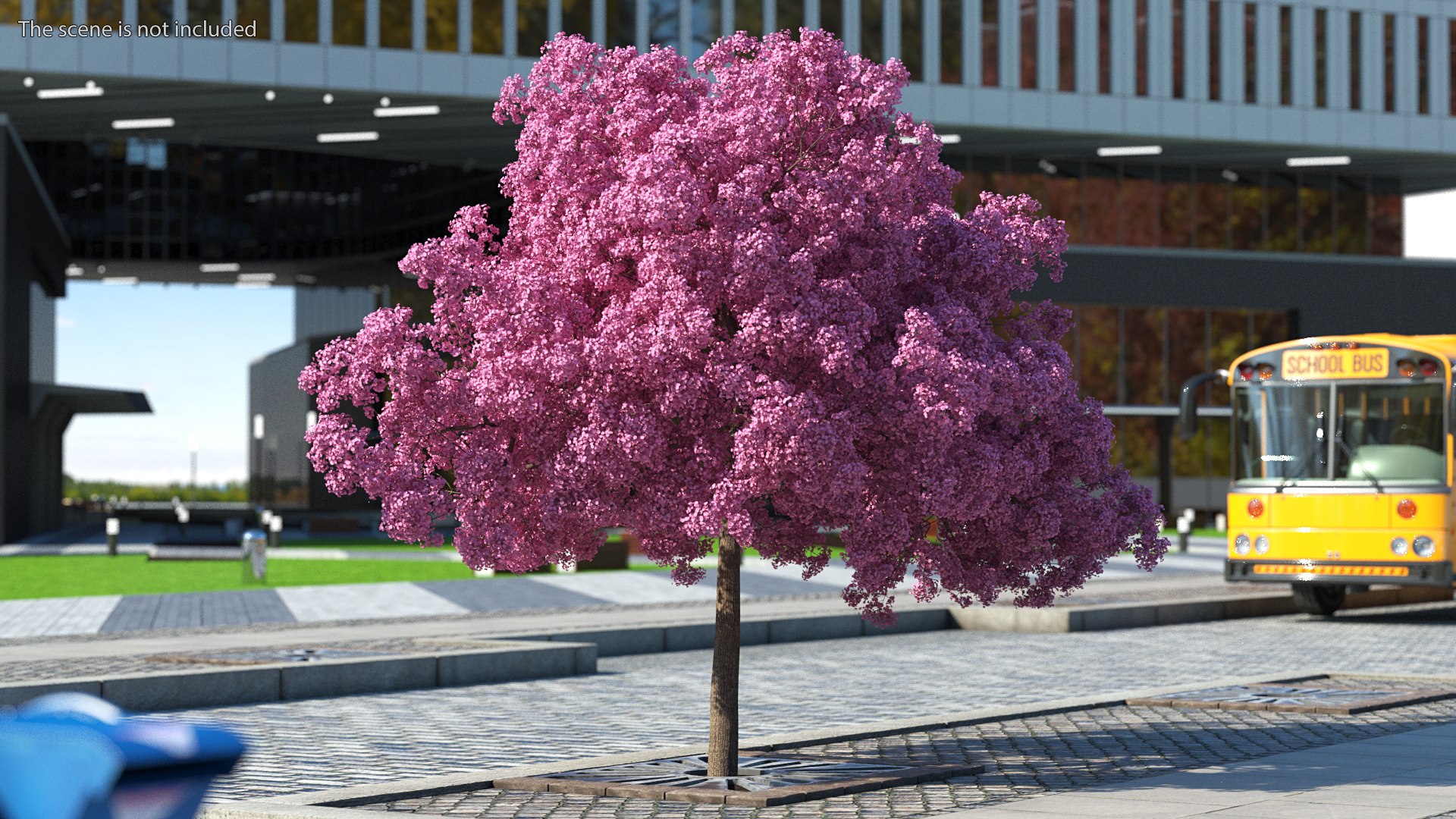 Pink Lapacho Tree 3D Model - TurboSquid 1729559