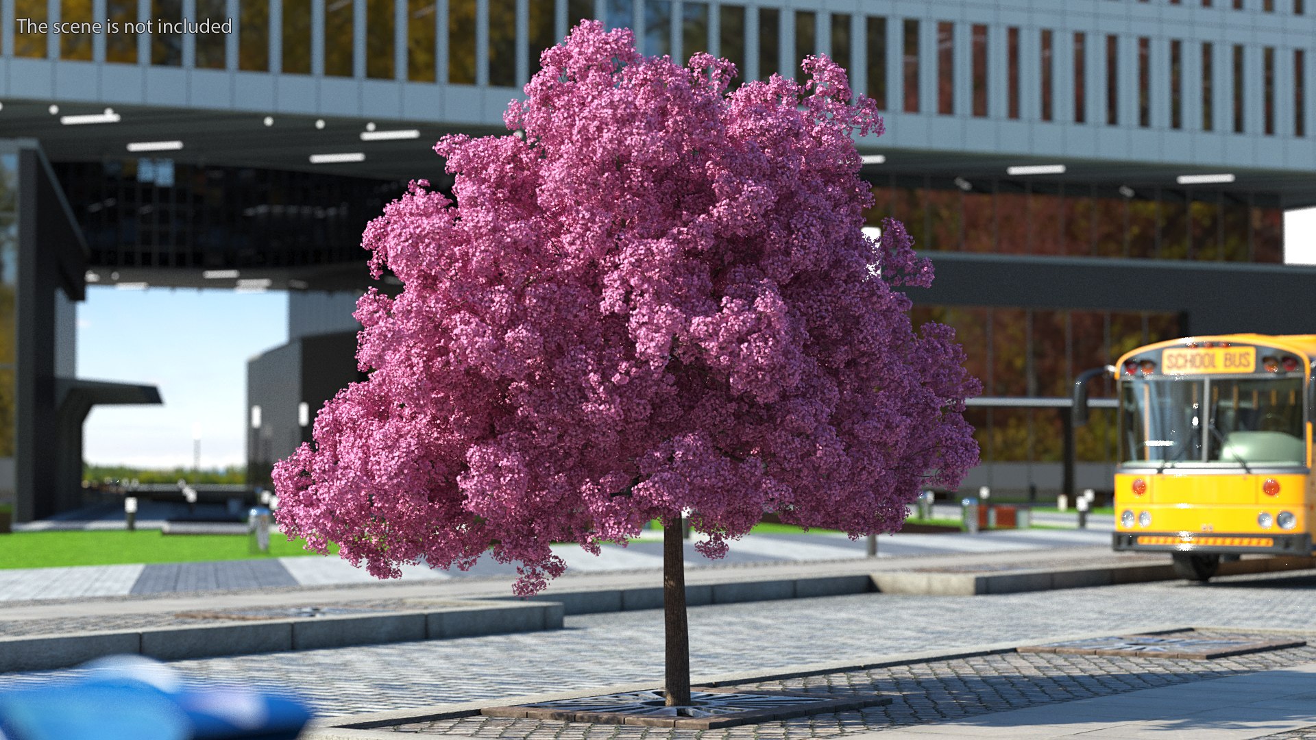Pink Lapacho Tree 3D Model - TurboSquid 1729559