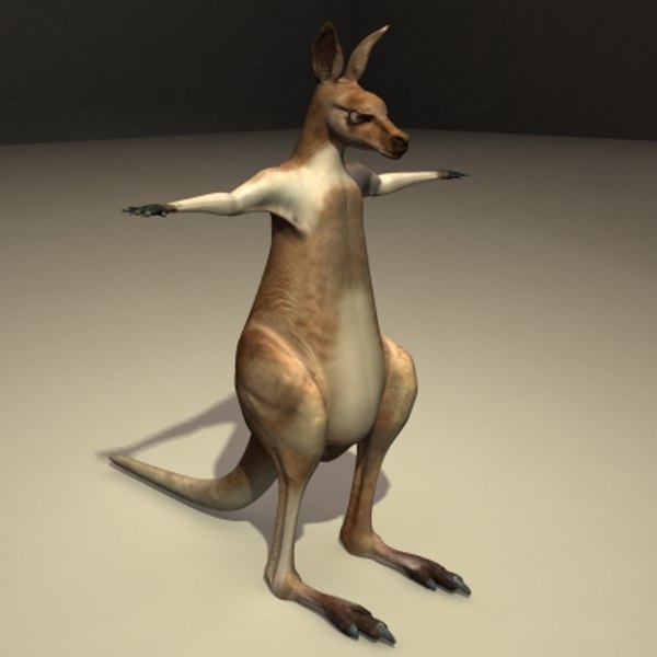 modelo 3d Canguro - TurboSquid 570439