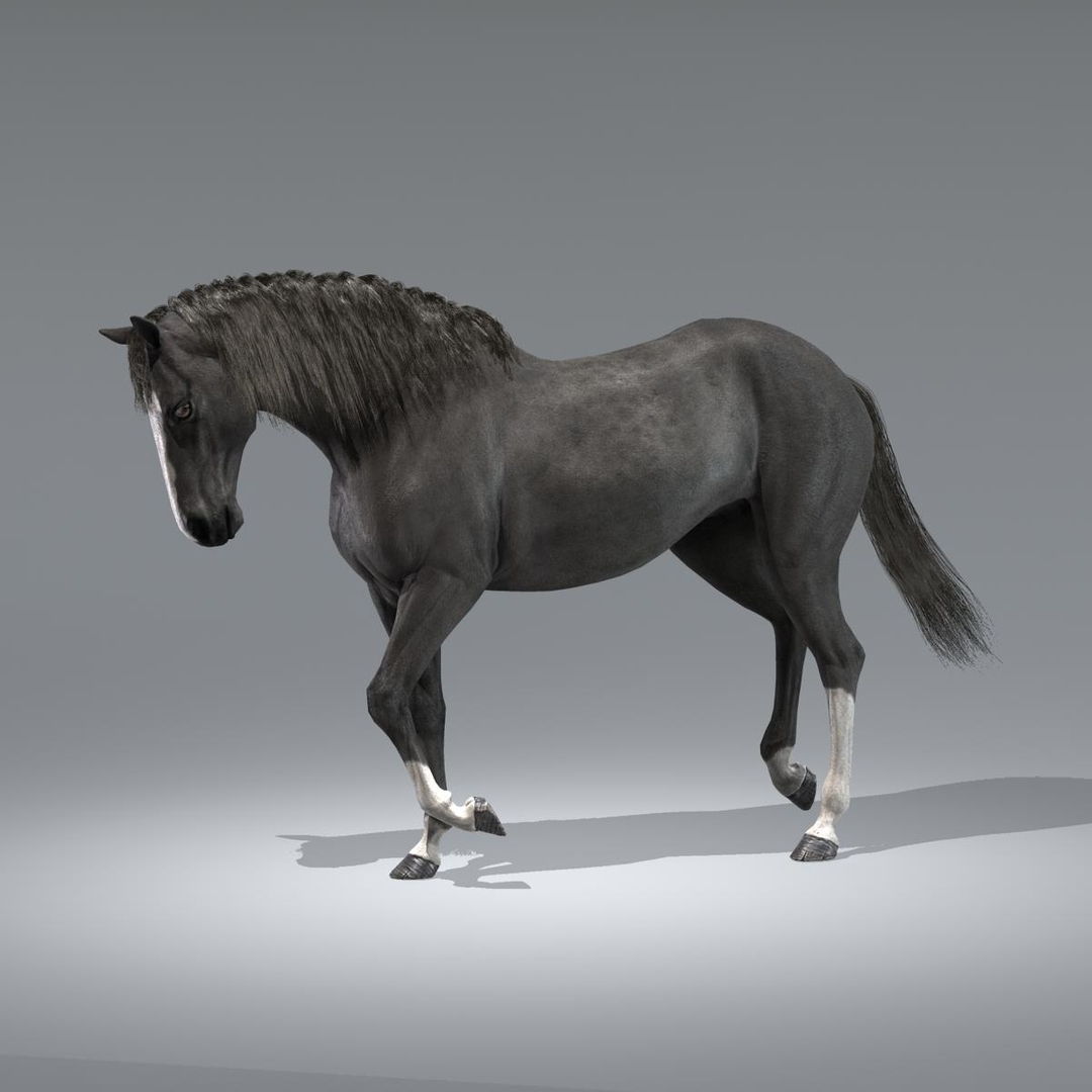 3D Rigged Horses Model - TurboSquid 1396820
