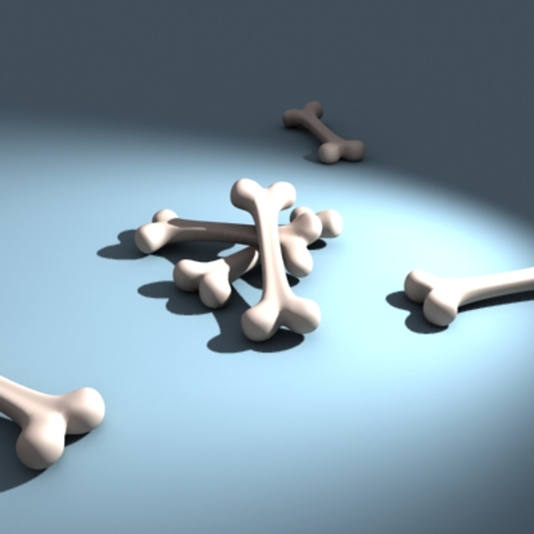 bones 3d max
