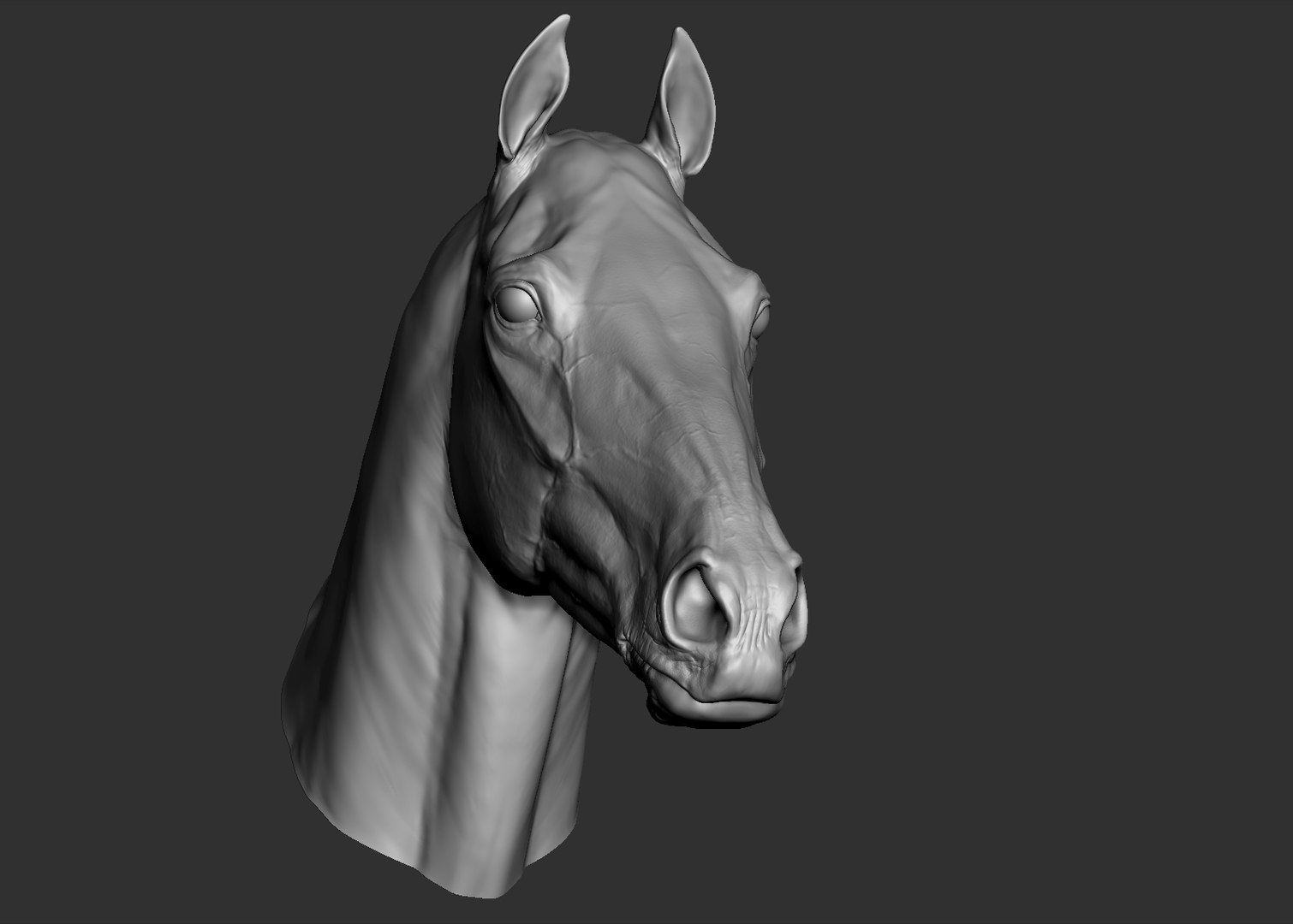 Horse Head V2 3D Model - TurboSquid 1375470