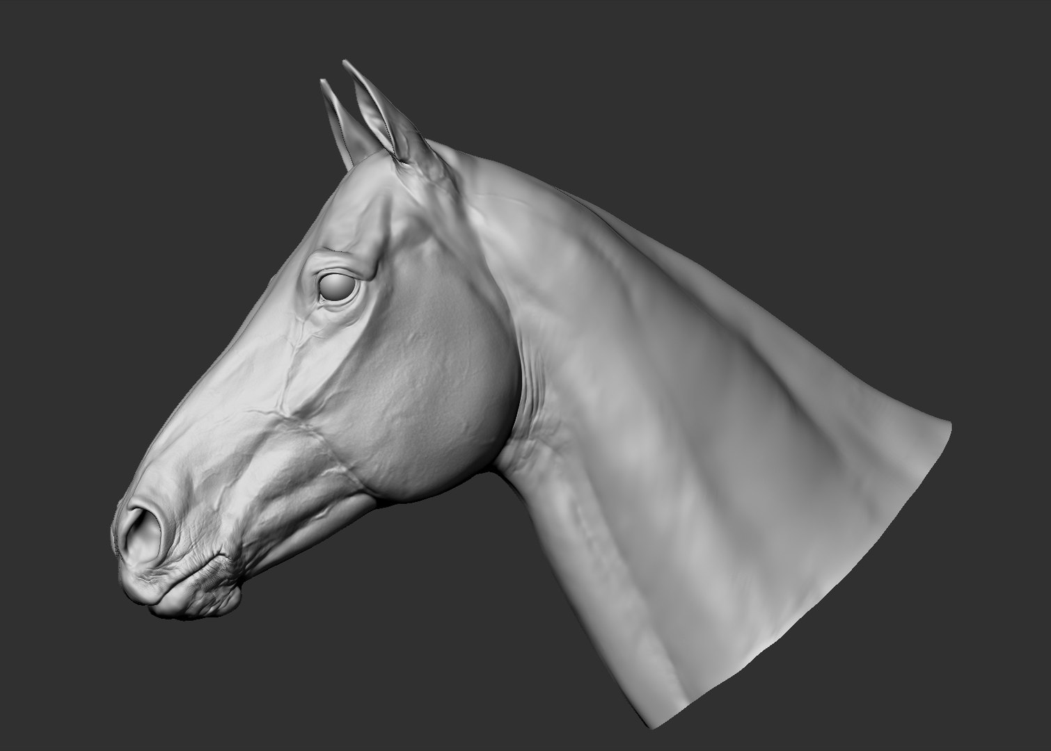 Horse head v2 3D model - TurboSquid 1375470