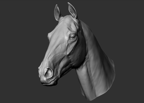 Horse head v2 3D model - TurboSquid 1375470