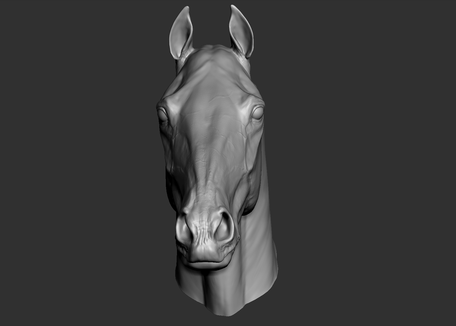 Horse head v2 3D model - TurboSquid 1375470