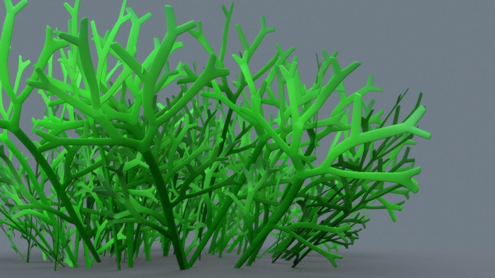 Riccia Plants 3D Model - TurboSquid 1236732