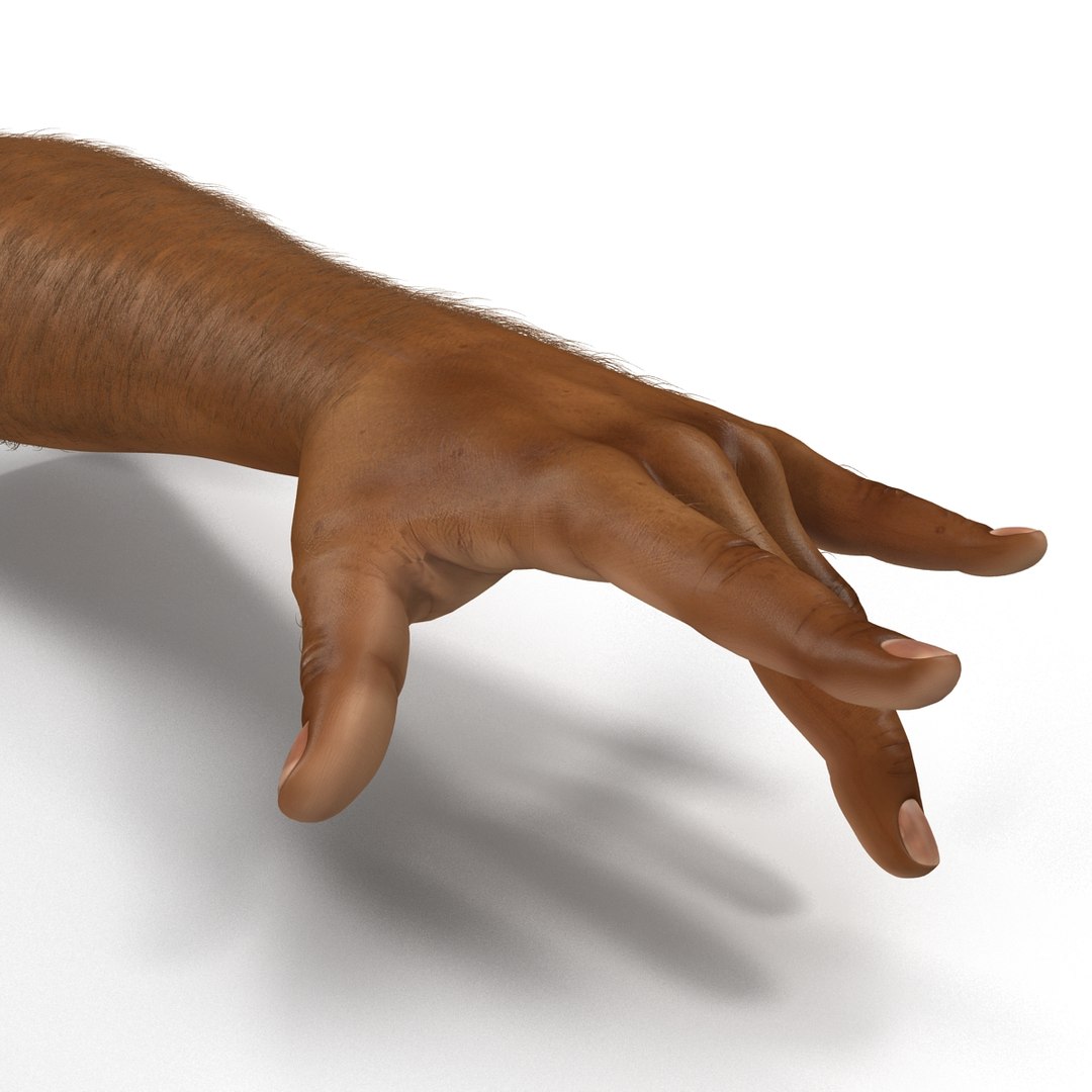 African Man Hands 3 Max