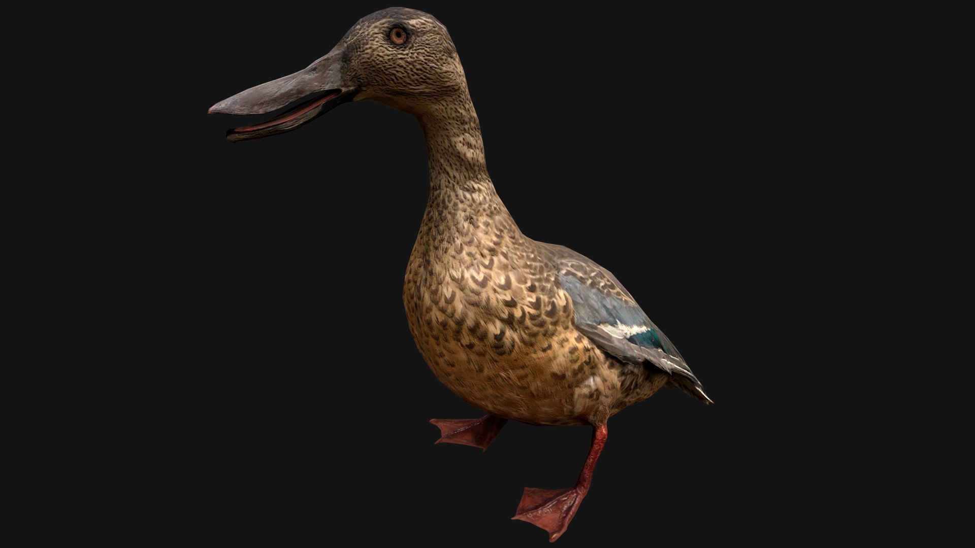 3D Duck Pack - TurboSquid 2074526