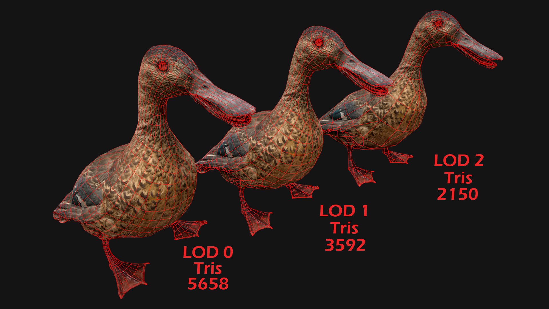 3D Duck Pack - TurboSquid 2074526