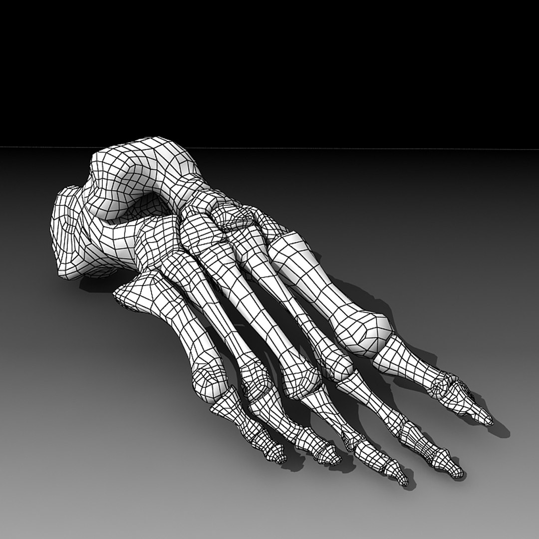 Foot Skeleton 3ds