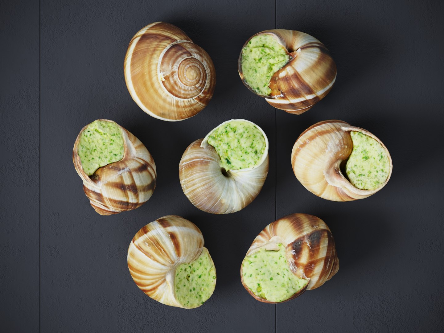 3D Escargot - TurboSquid 2092860