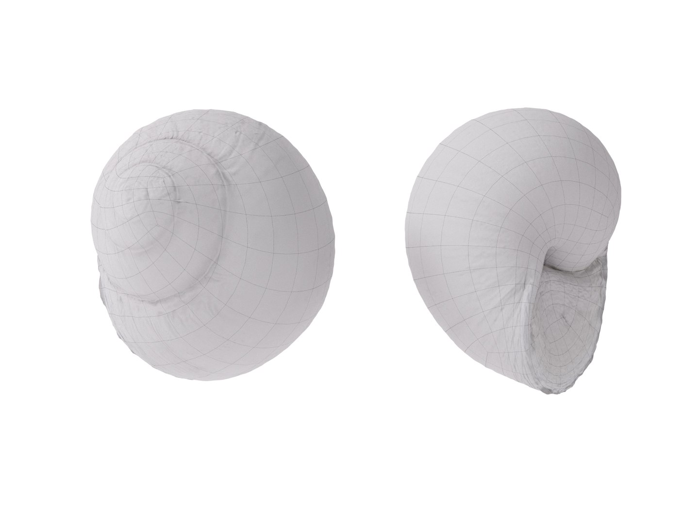 3D Escargot - TurboSquid 2092860