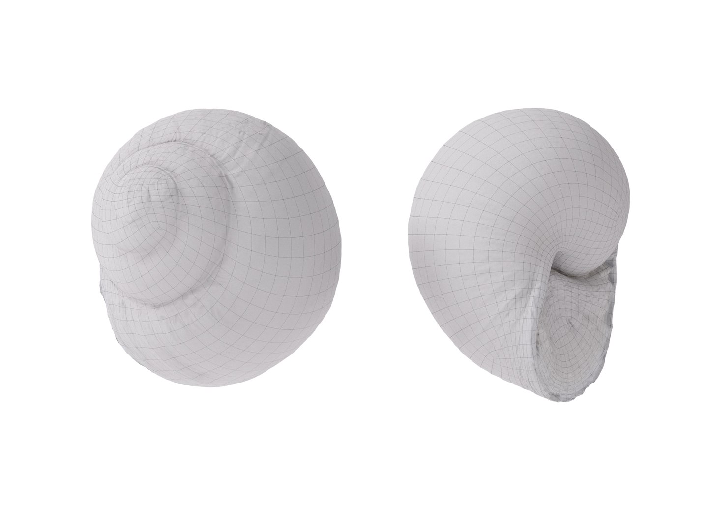 3D Escargot - TurboSquid 2092860