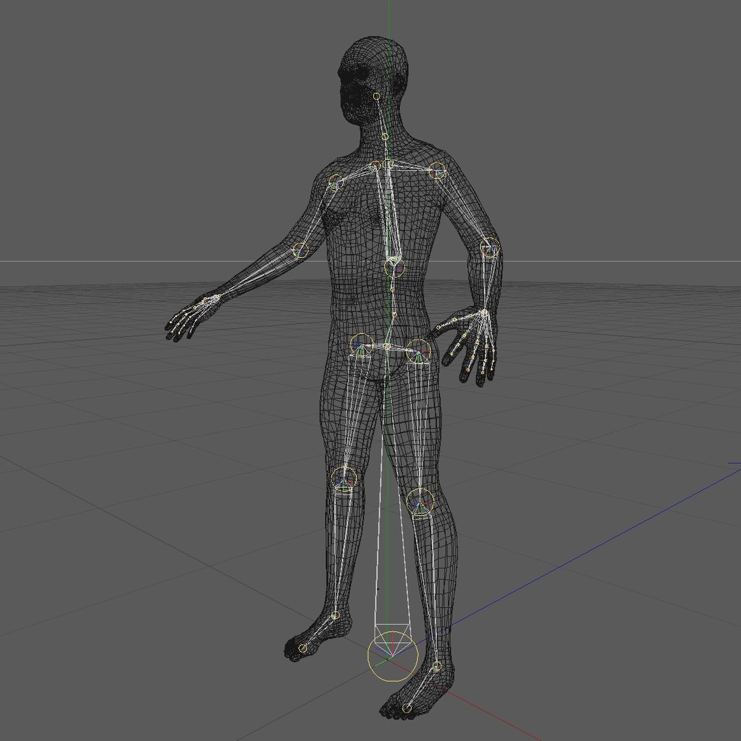 Realistic human body 25 3D model - TurboSquid 1260204