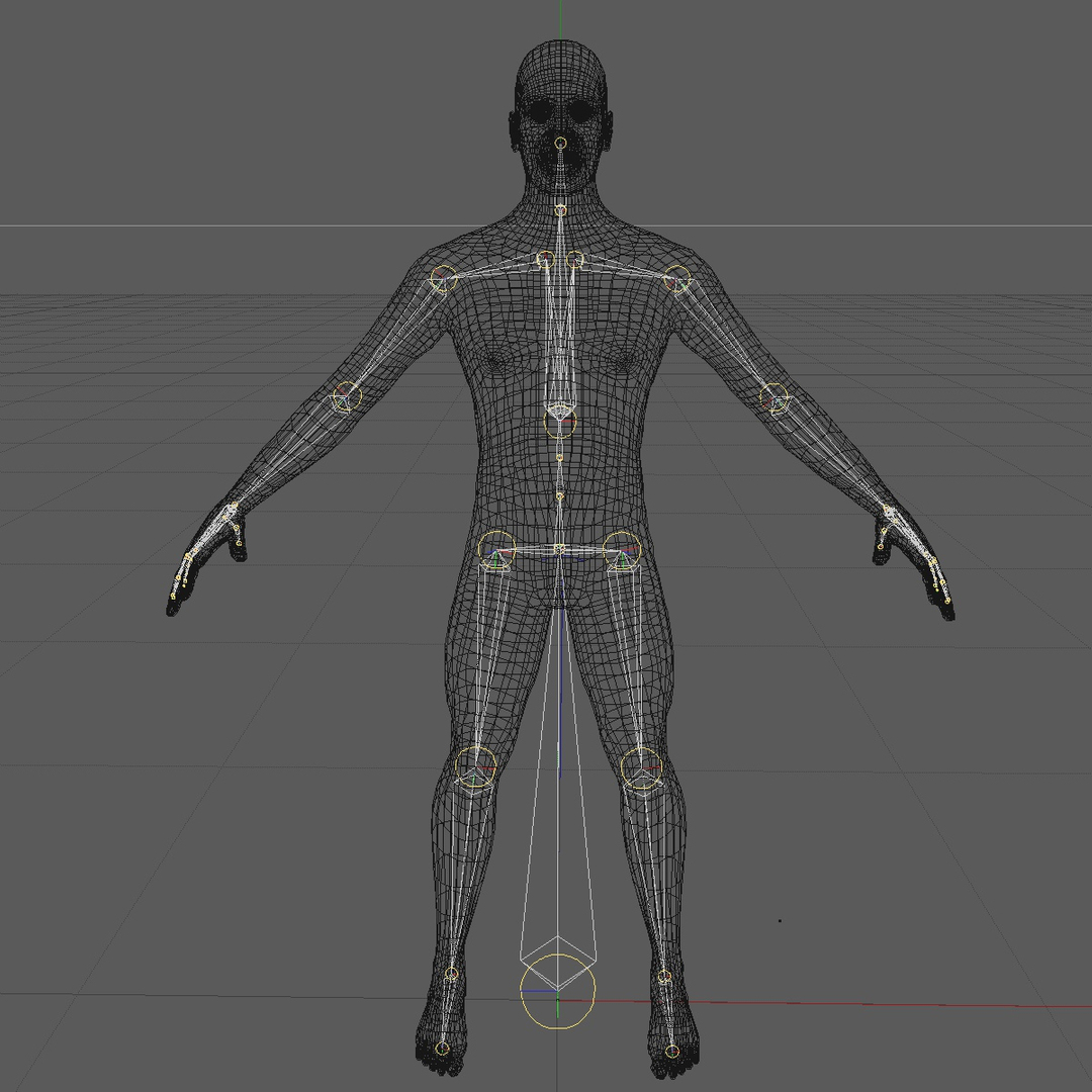 Realistic human body 25 3D model - TurboSquid 1260204