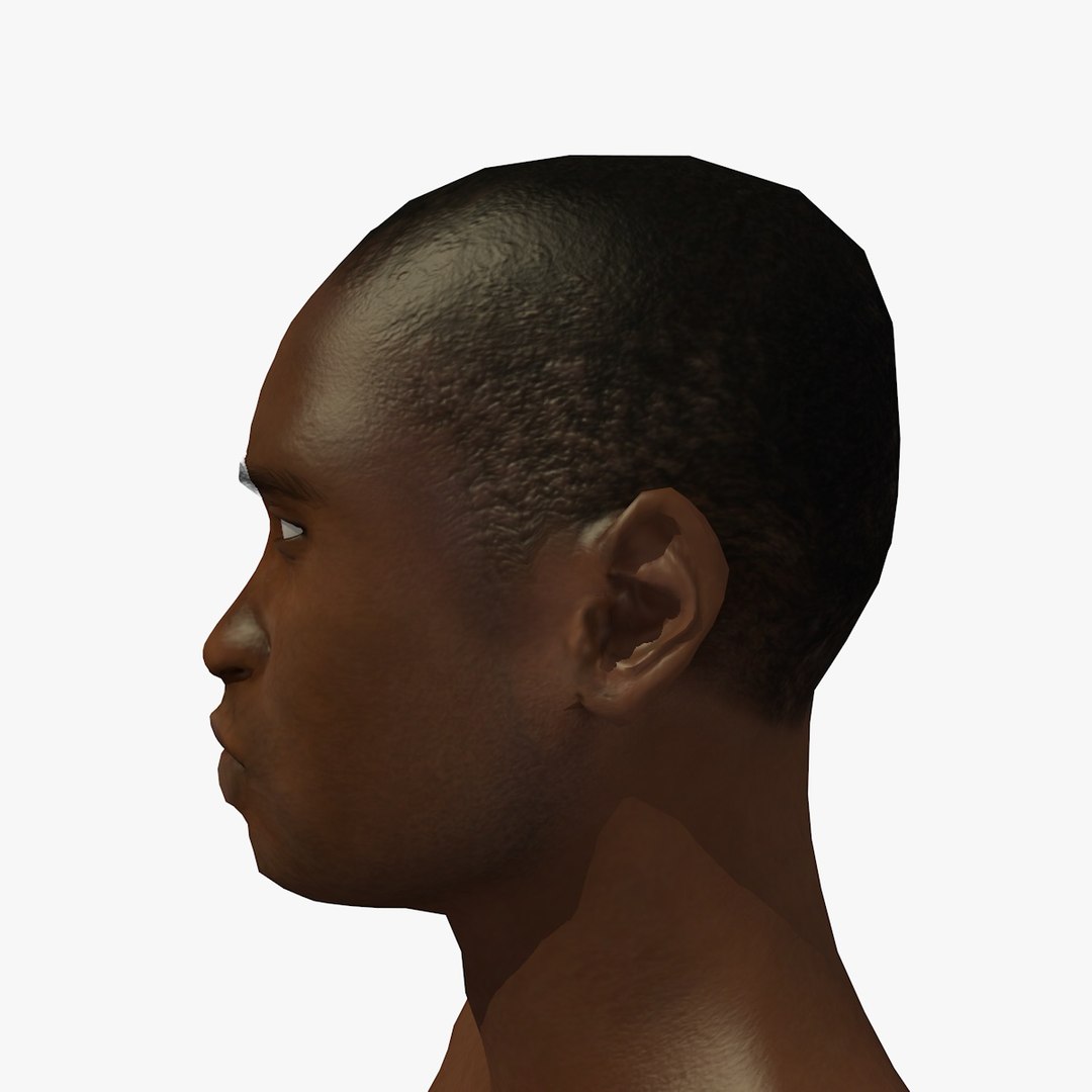 Realistic Human Body 25 3D Model - TurboSquid 1260204