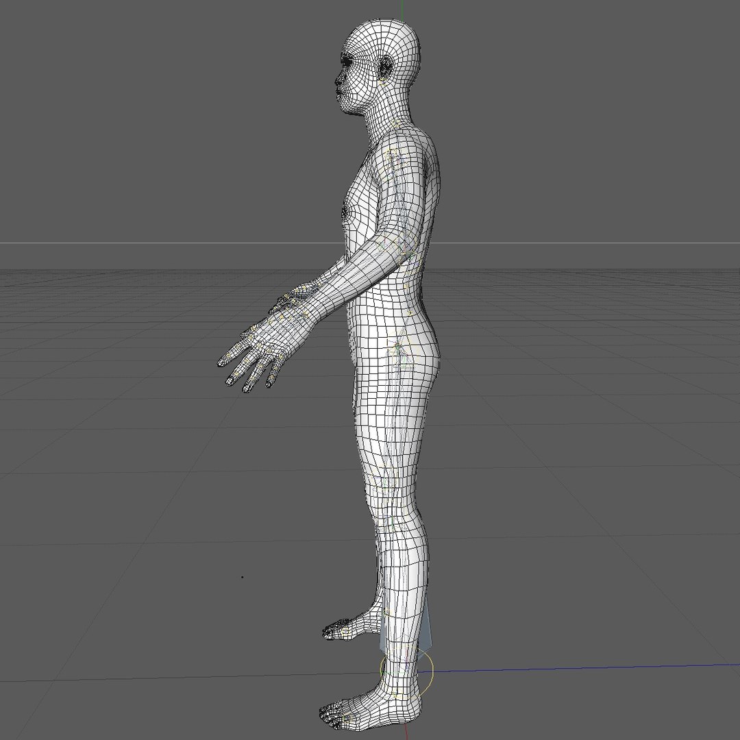 Realistic human body 25 3D model - TurboSquid 1260204