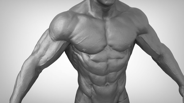 Fitness realistic 3D model - TurboSquid 1222923