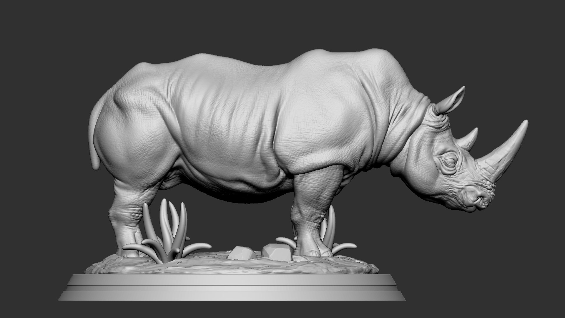 3D Rhino Model - TurboSquid 2012504