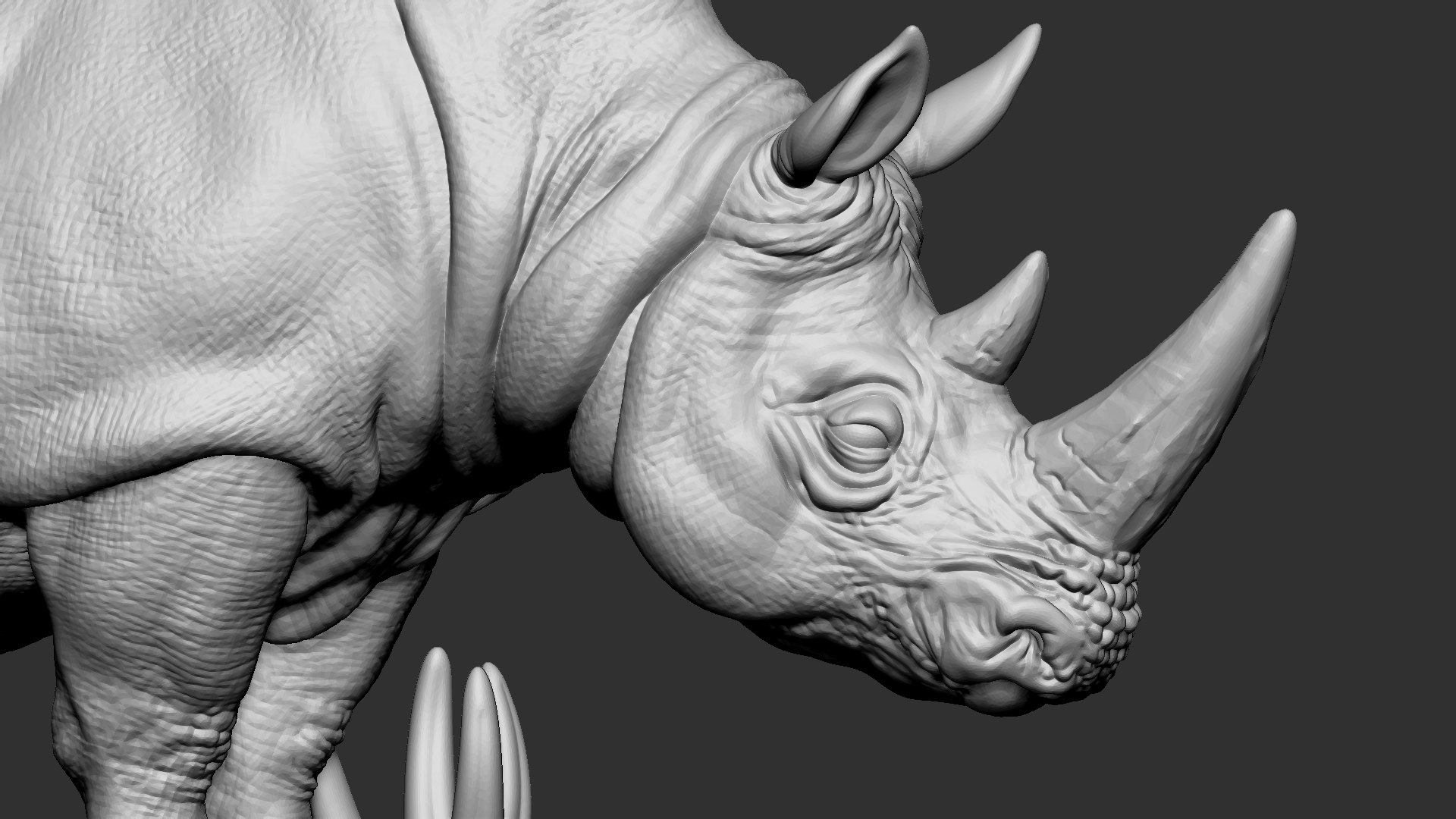 3D Rhino Model - TurboSquid 2012504