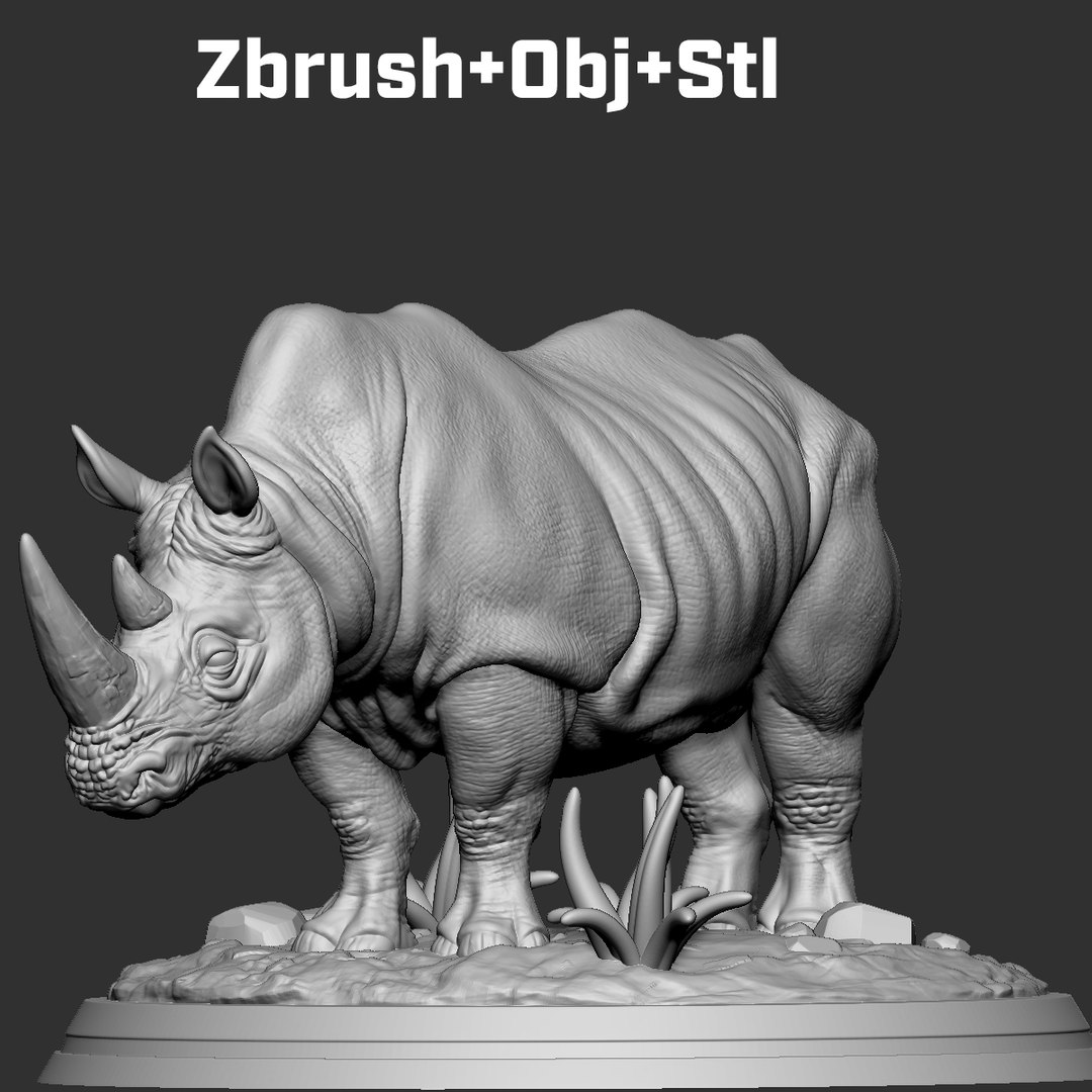 3D Rhino Model - TurboSquid 2012504