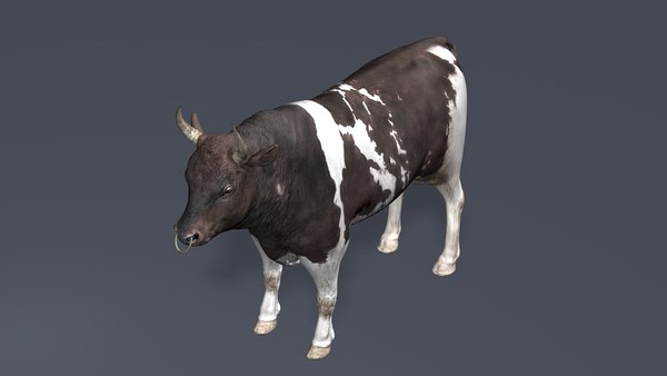 modelo 3d Toro - TurboSquid 1587150
