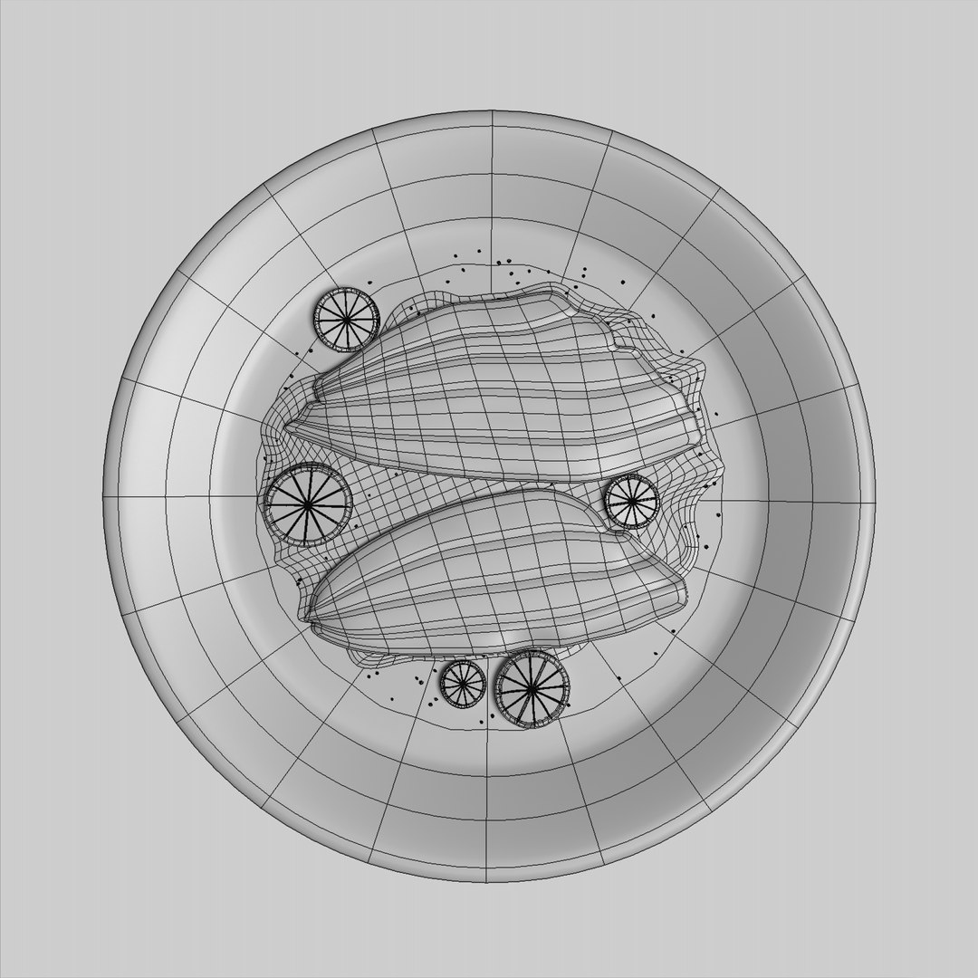 3D model Fish Fillet - TurboSquid 2038927