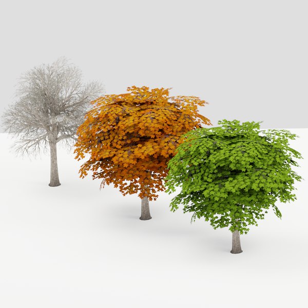 Maple tree 3D model - TurboSquid 1423839