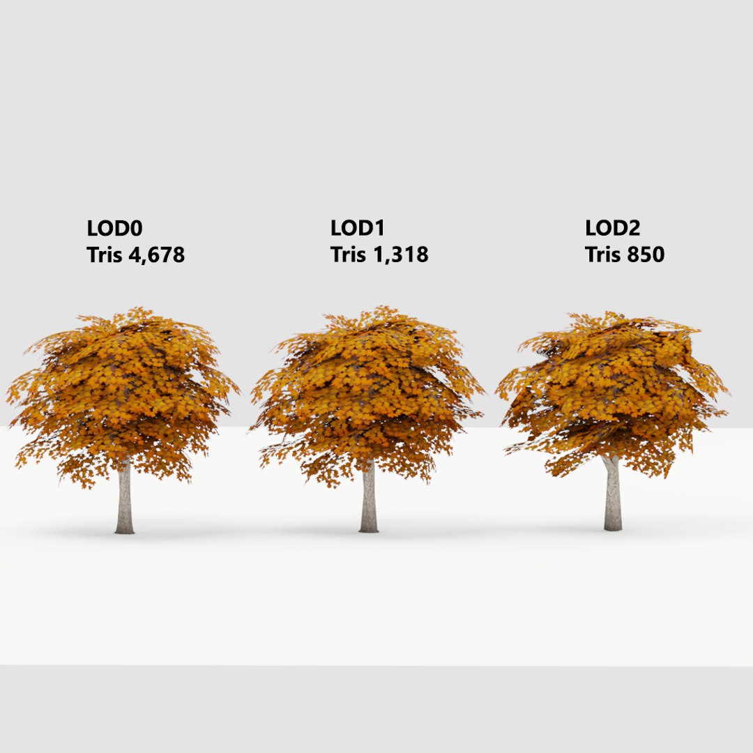 Tree Maple 3D Model - TurboSquid 1423889