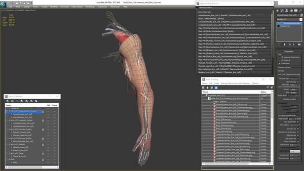 Male arm anatomy skin human model - TurboSquid 1469602