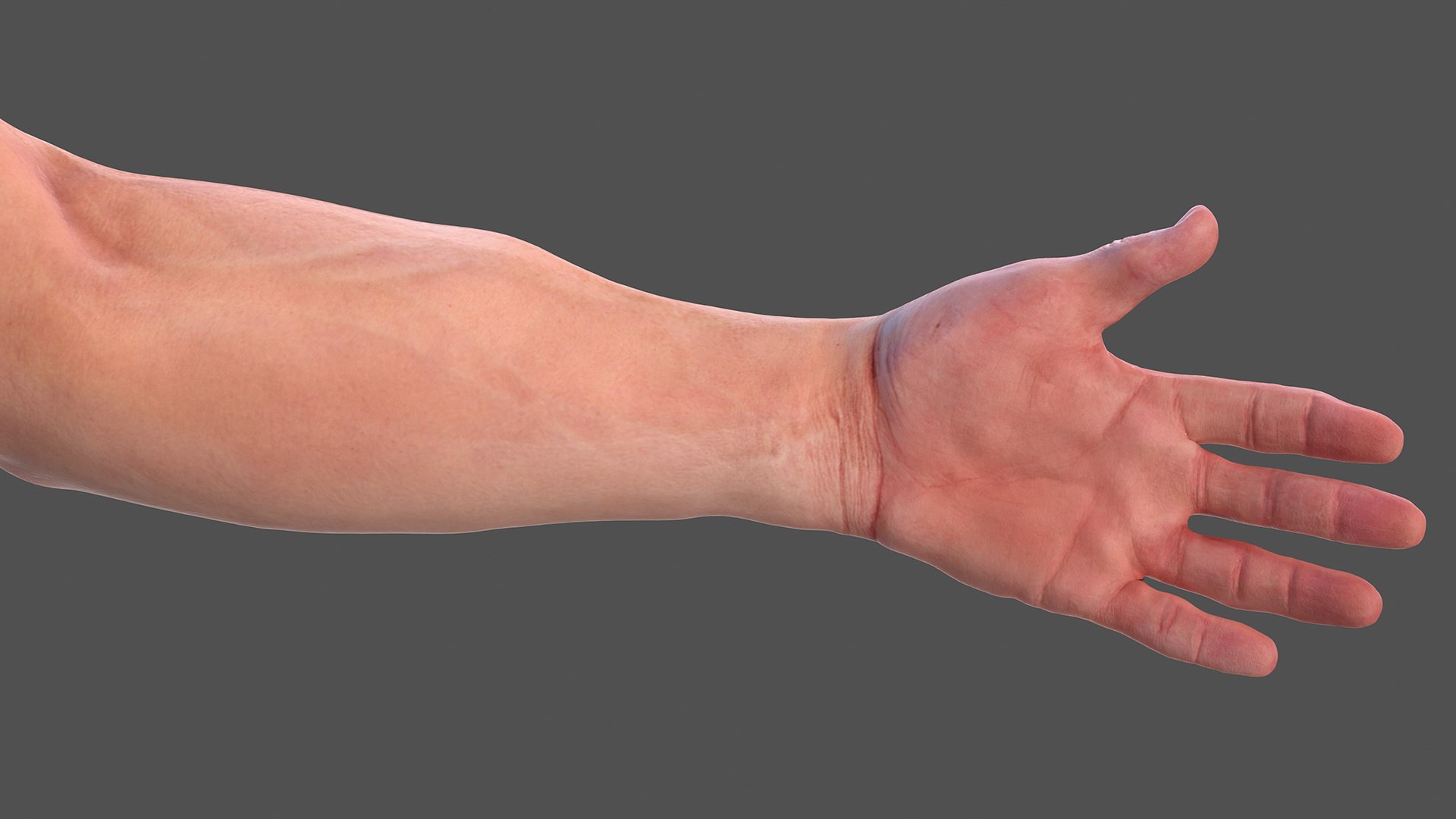 Male arm anatomy skin human model - TurboSquid 1469602