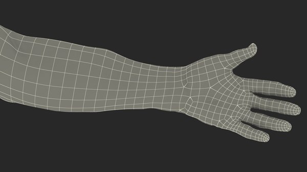 Male arm anatomy skin human model - TurboSquid 1469602