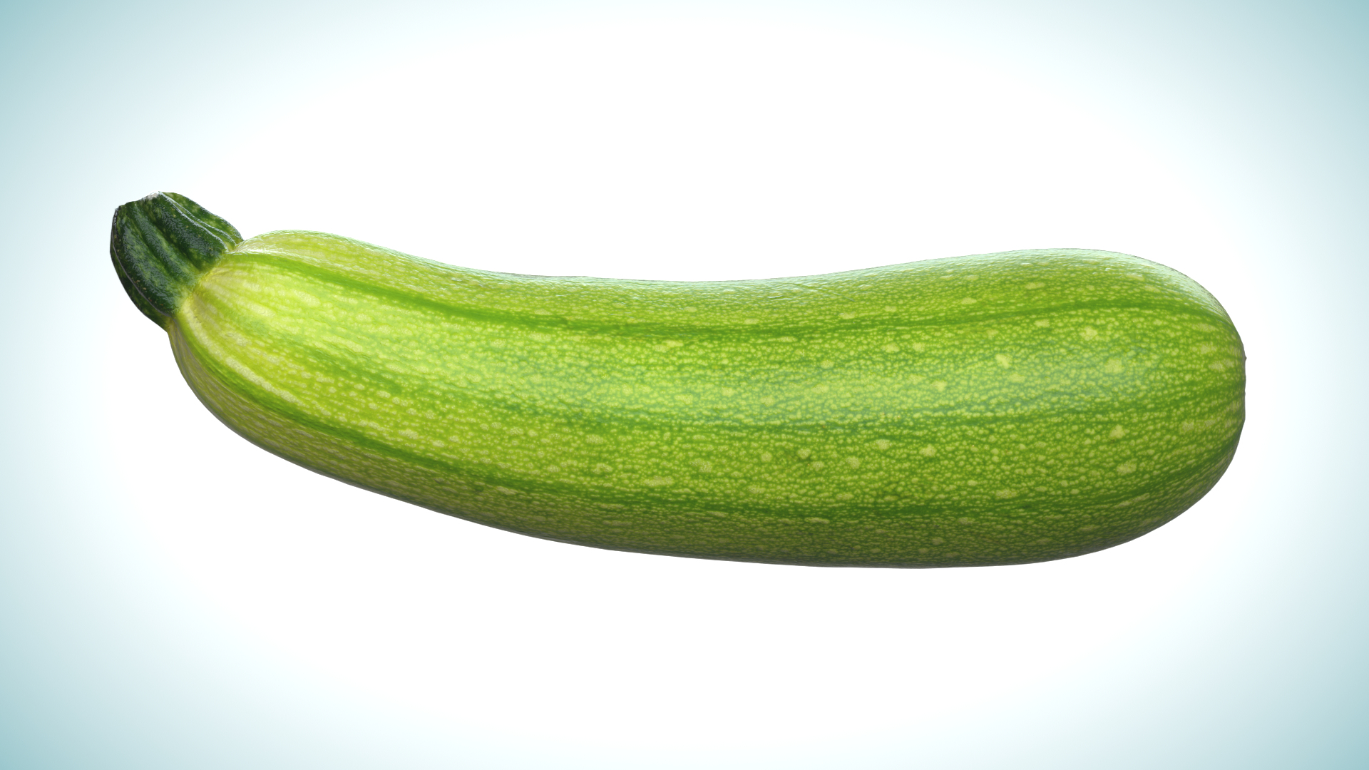 1 Polly 3D Model - TurboSquid 1385224