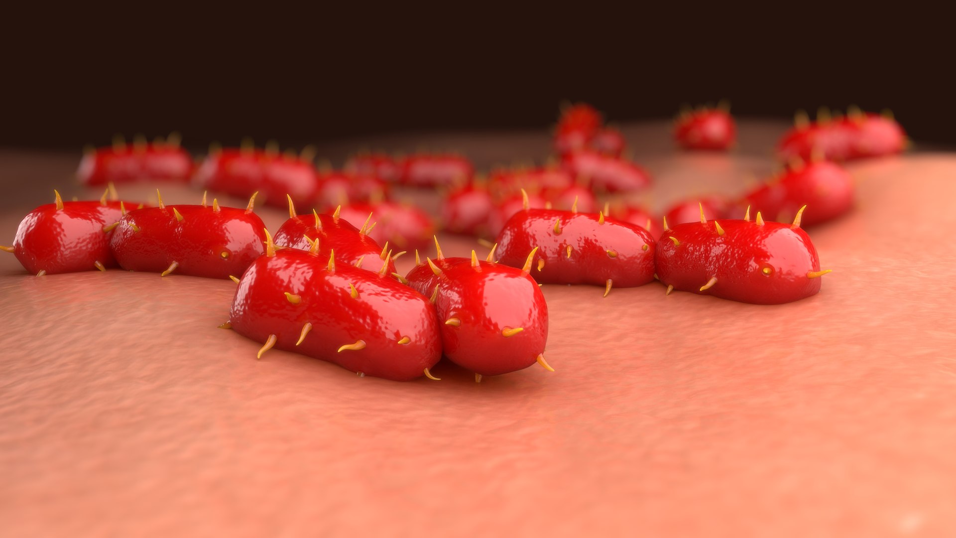 3D Bacterial Meningitis - TurboSquid 2209584 3D Bacterial Meningitis - TurboSquid 2209584