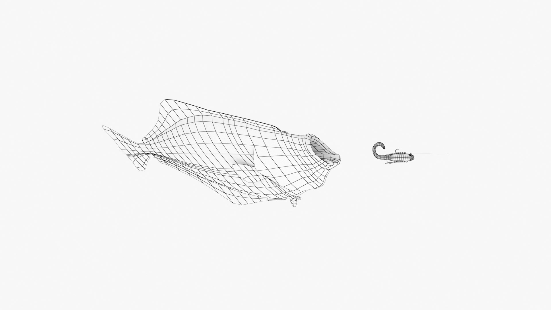 3D halibut fish model - TurboSquid 1694823