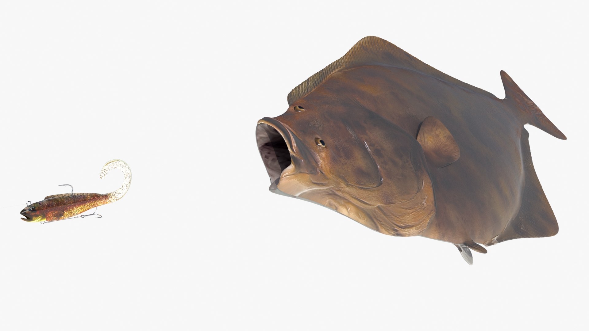 3D halibut fish model - TurboSquid 1694823