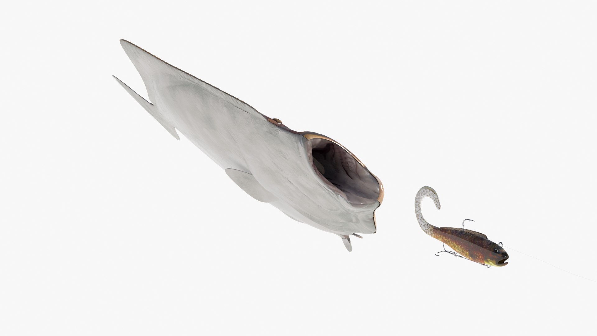 3D halibut fish model - TurboSquid 1694823