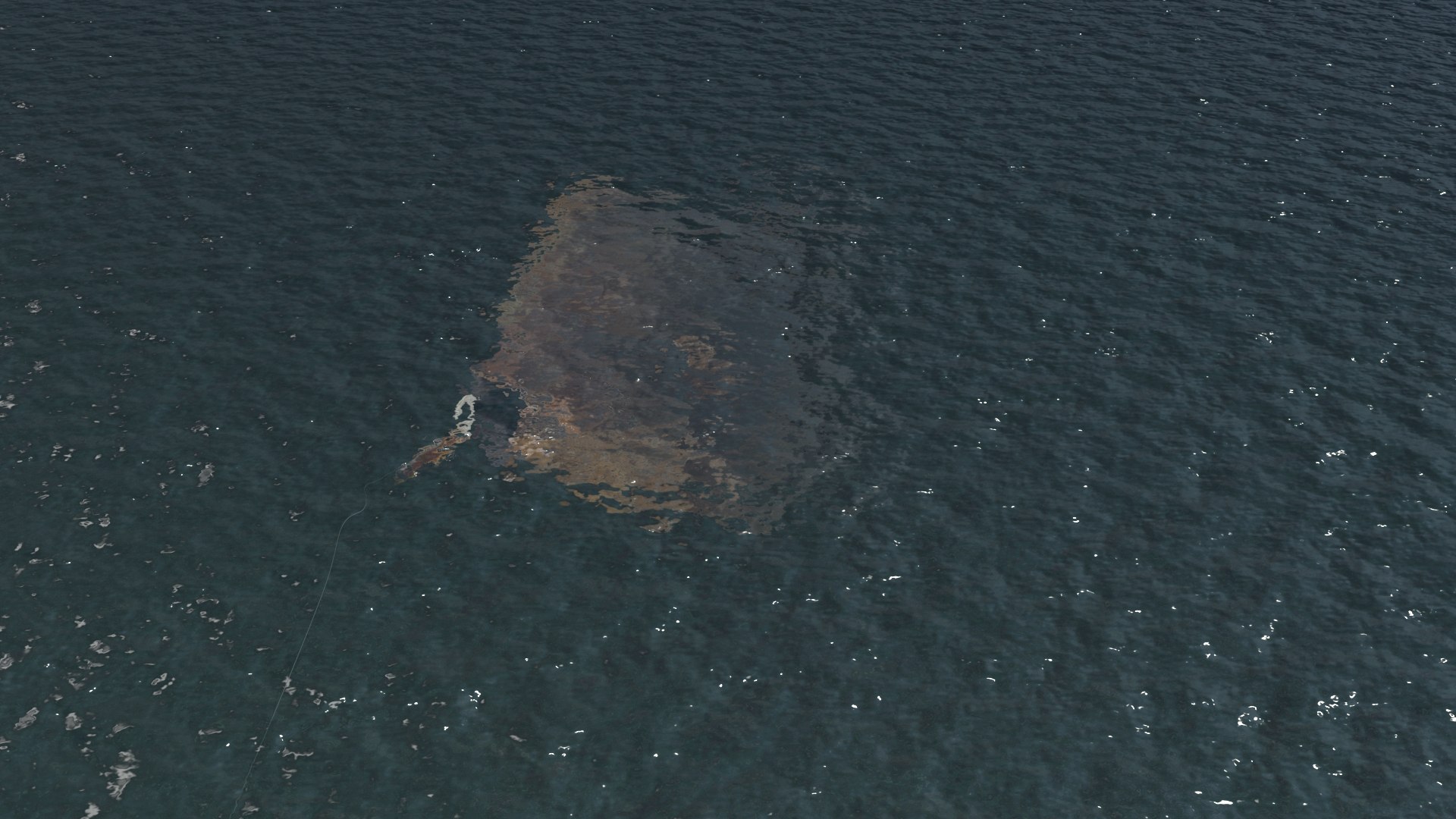 3D halibut fish model - TurboSquid 1694823