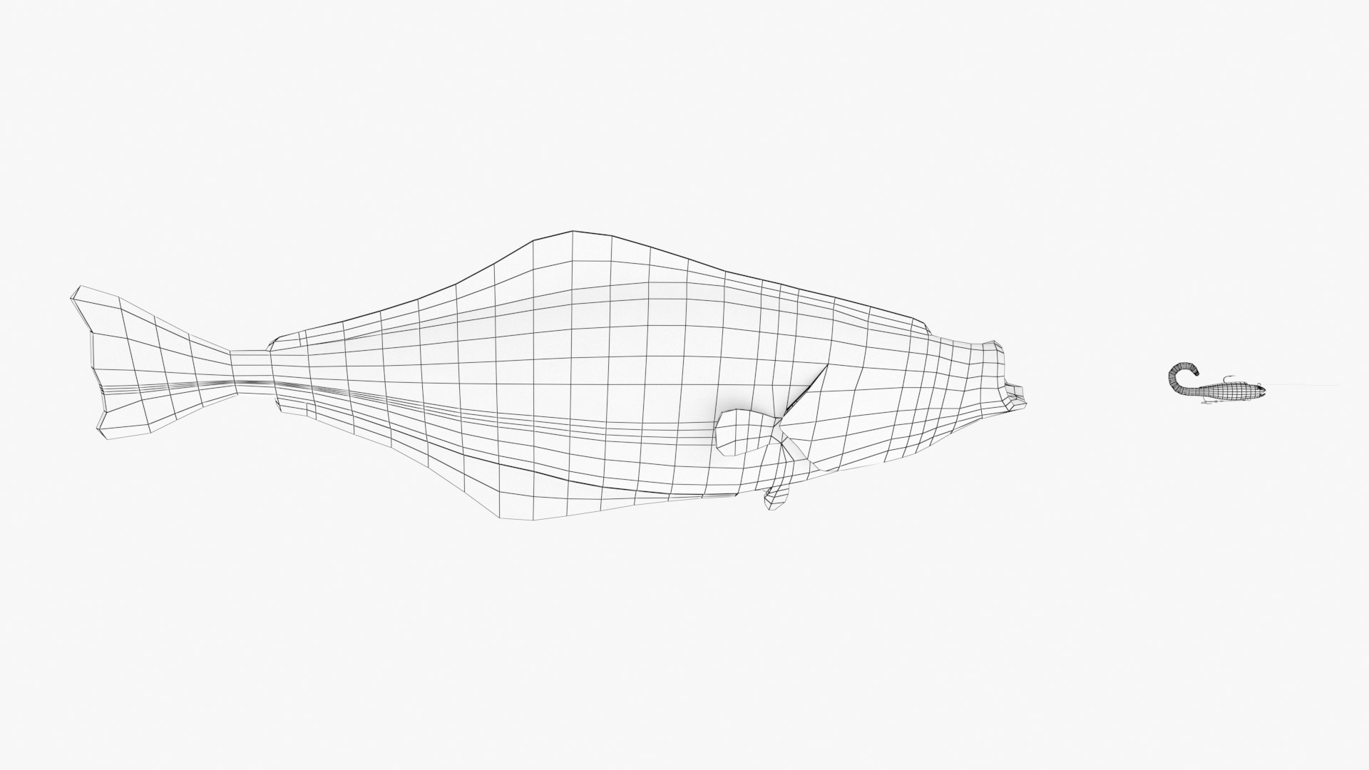 3D halibut fish model - TurboSquid 1694823