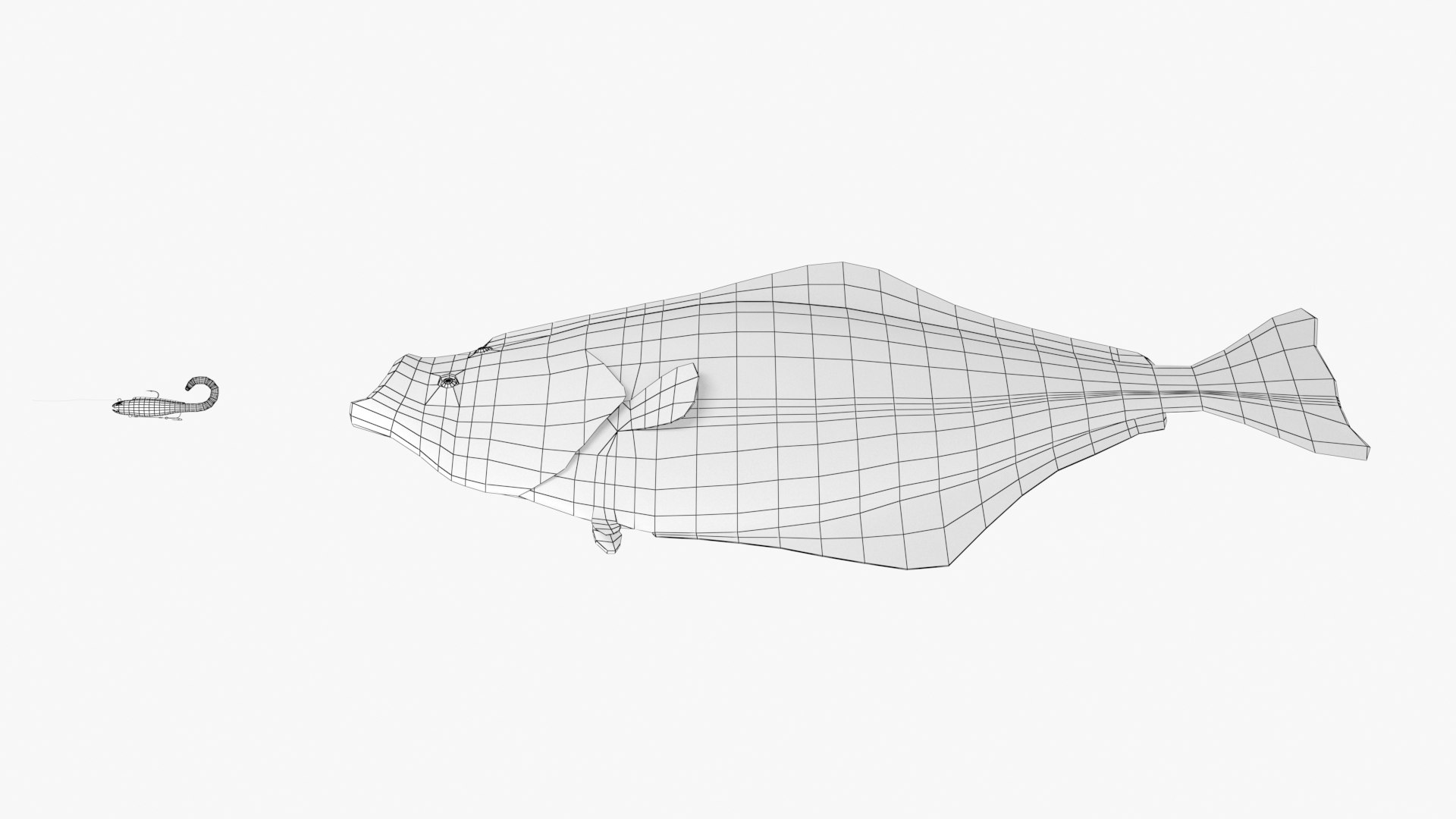 3D halibut fish model - TurboSquid 1694823