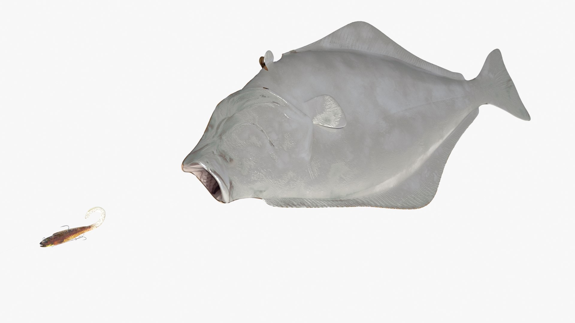 3D halibut fish model - TurboSquid 1694823